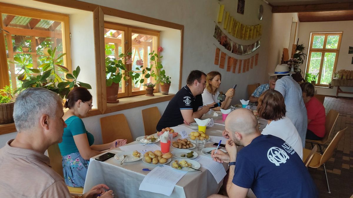 O echipă de agricultori din Orhei cultivă cartofi ecologici. Iată ce ...